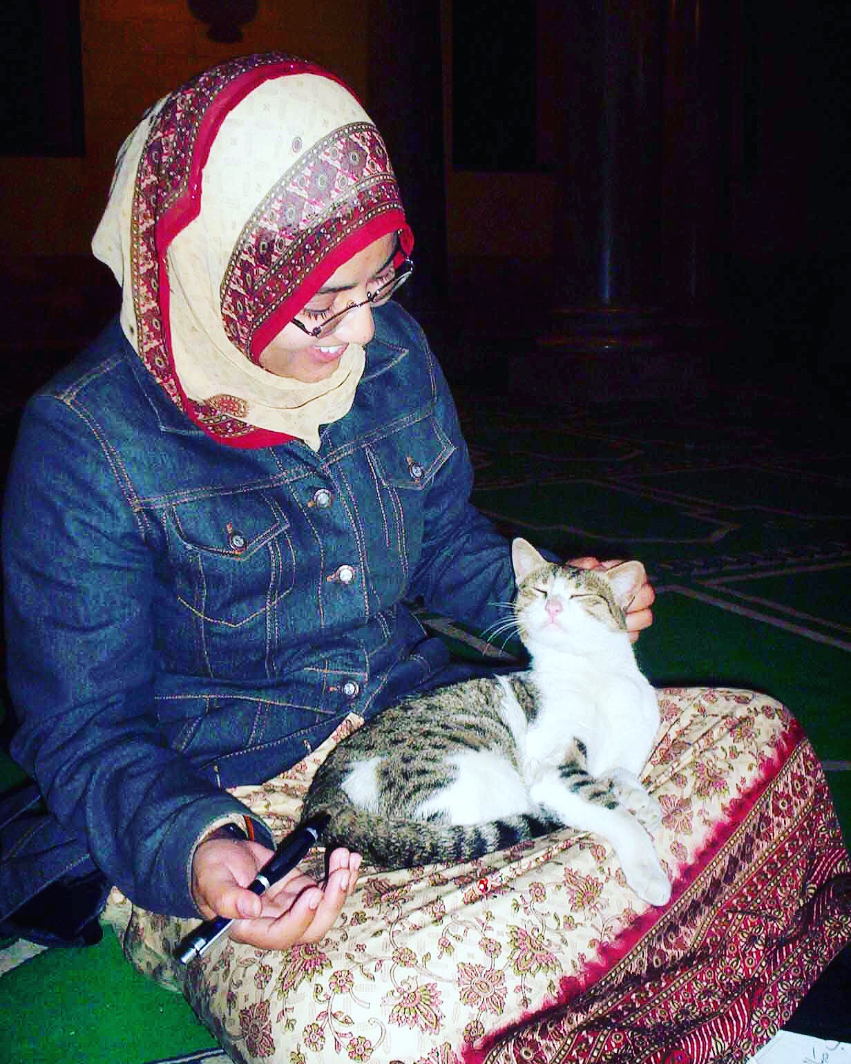 The entitlement of a cat – Sahar Ishtiaque Ullah